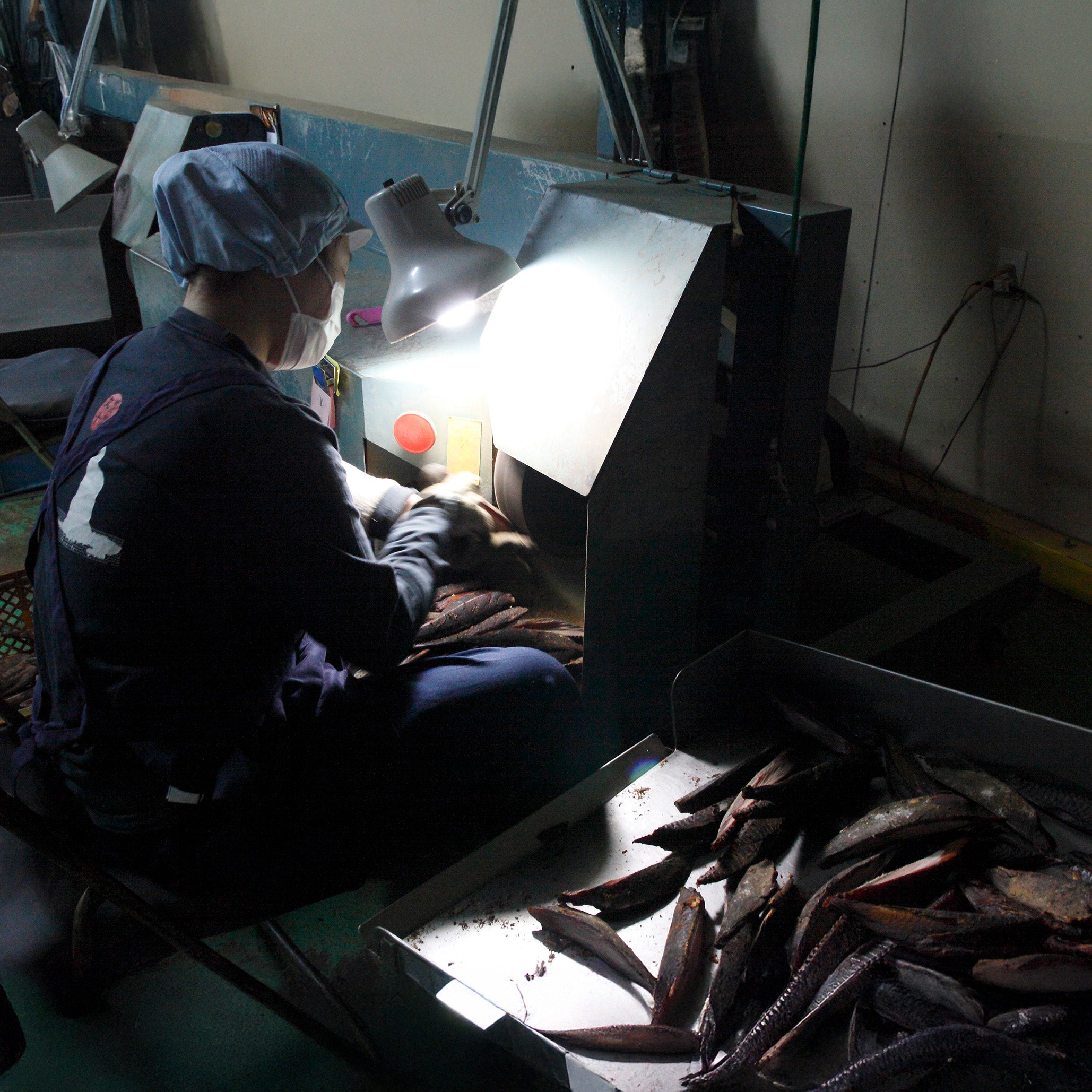 How to Make Katsuobushi – Yamaki USA