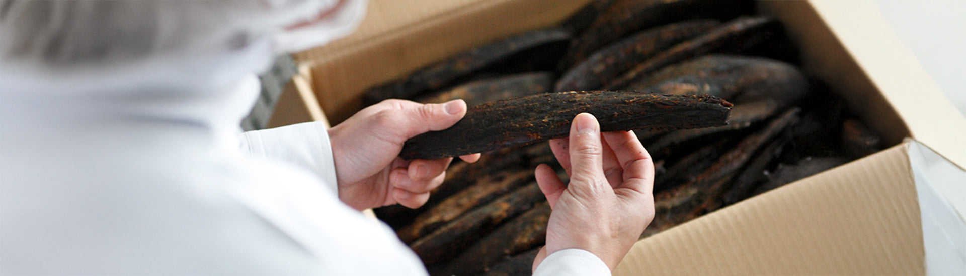 How to Make Katsuobushi – Yamaki USA